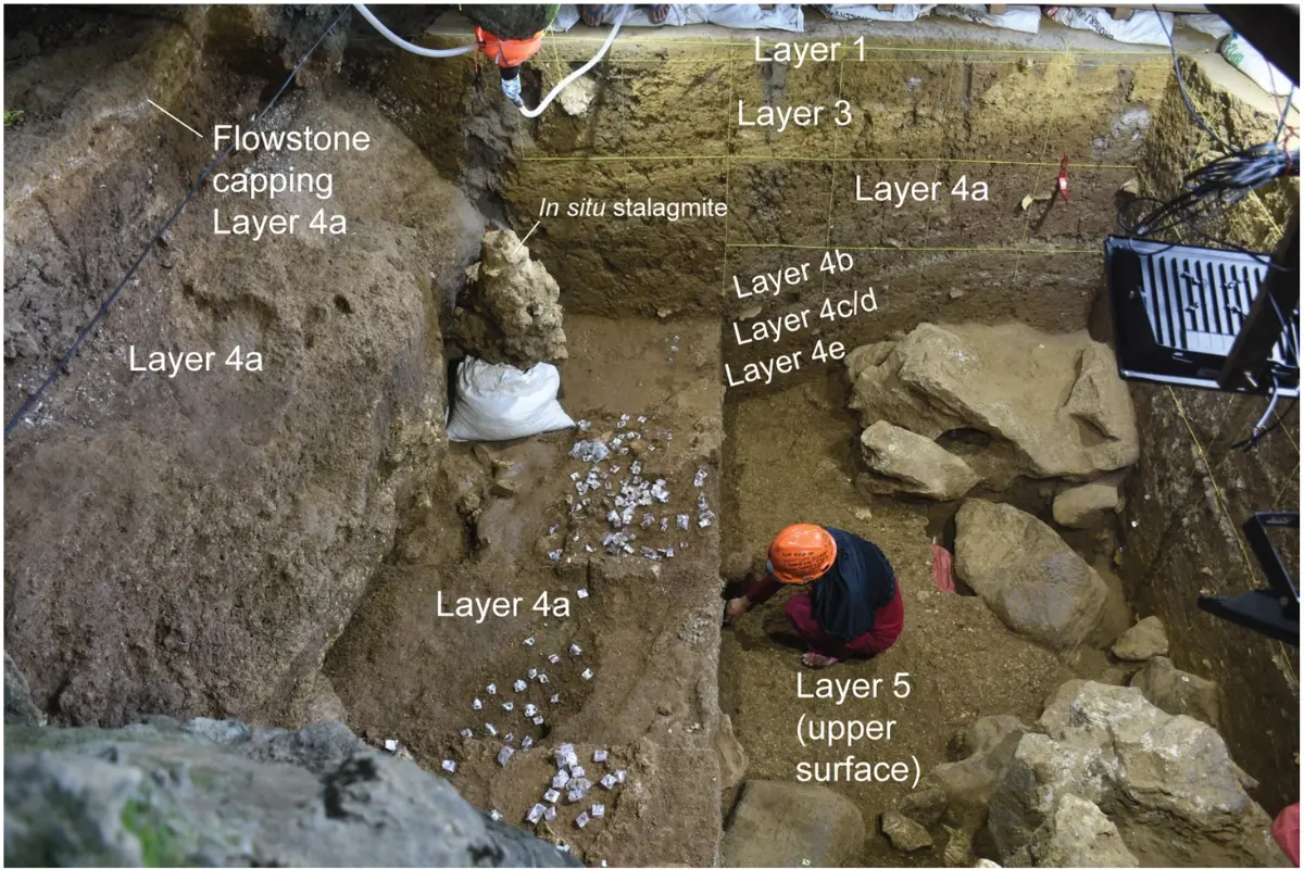 Archaeologists find evidence of extinct ‘ghost’ human species at Leang ...