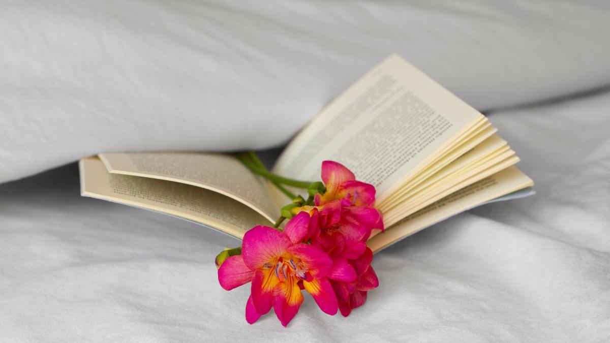 Word of the Day, January 27: ‘Flotilla’