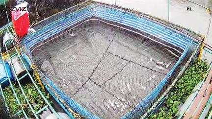 Sand mining pollutes Kanoli canal, harming fish and livelihoods | News ...