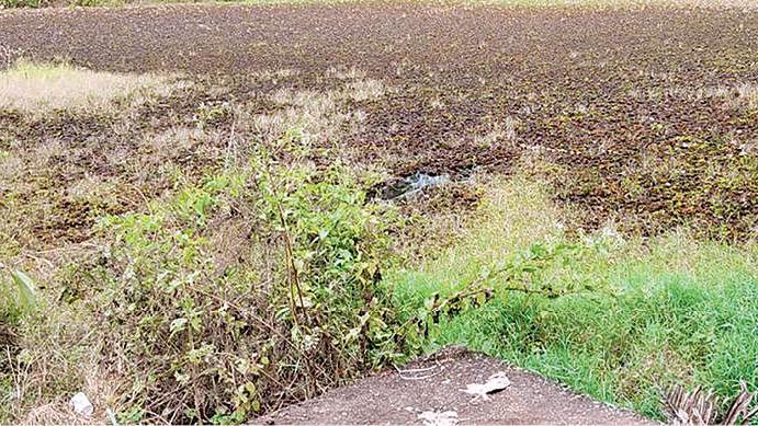 Atuassery's vital water source faces collapse due to neglect | News ...