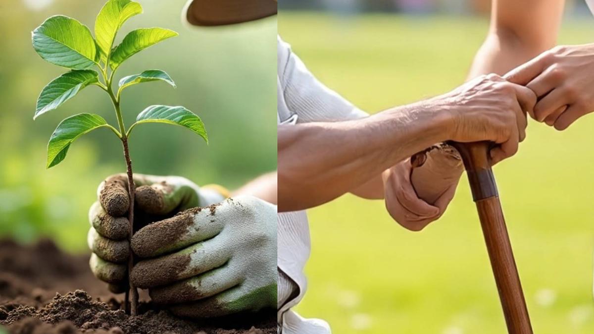 From planting trees to elderly care: Kerala Govt issues BNS Community ...