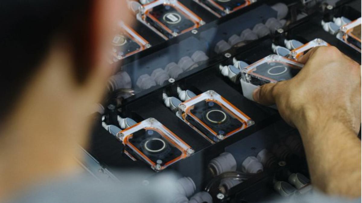 ‘Superhuman’ promise: Neuralink says it's ready to implant vision ...