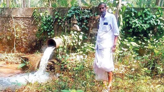 Kuttiyadi irrigation canal brings relief to Thayiroppoyil farmers ...