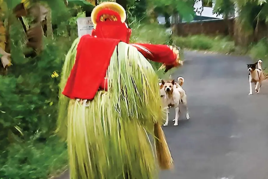 തെയ്യത്തിനുമുന്നിൽ കുരച്ചുചാടി തെരുവുനായ്ക്കൾ; കൈ ഉയർത്തി ...