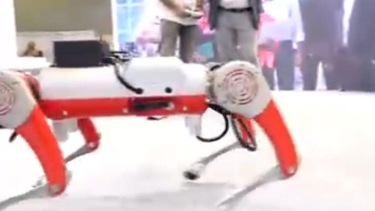 AI Impact Summit 2026: Addverb unveils Trakr Quadruped robot ...