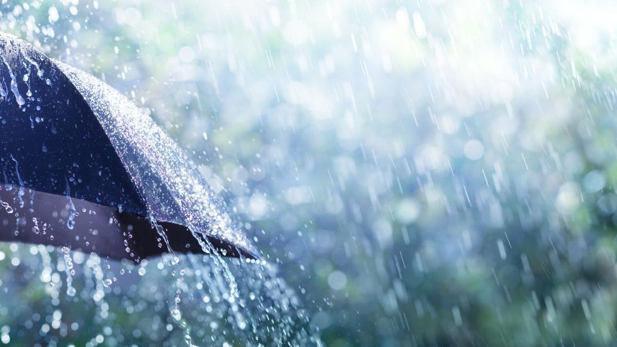 Summer rains lash Kerala; orange alert issued for two districts for ...