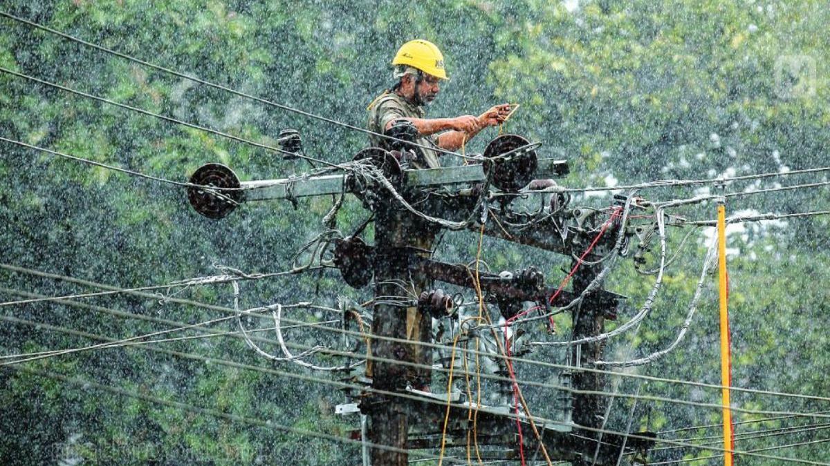 KSEB update: Both men, women must now ace 8-minute pole climbing test ...