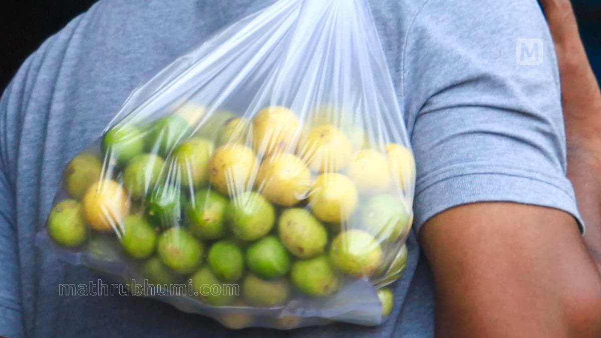 Lemon prices skyrocket in Kerala: Why costs have doubled | Mathrubhumi ...