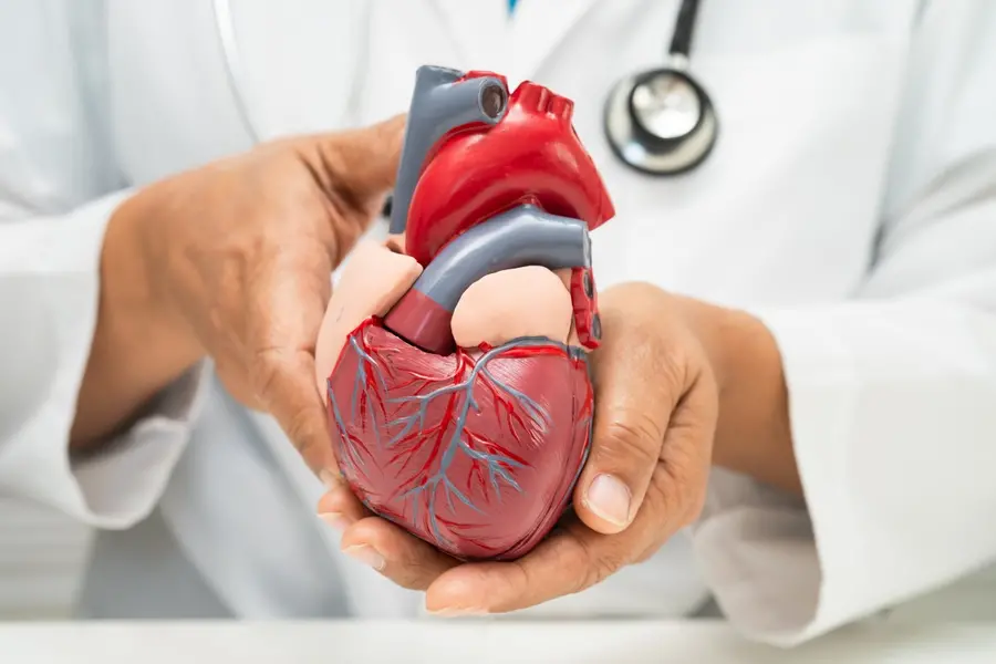 Why Heart Cancer Is Rare: Study Finds Heartbeat May Help Suppress ...