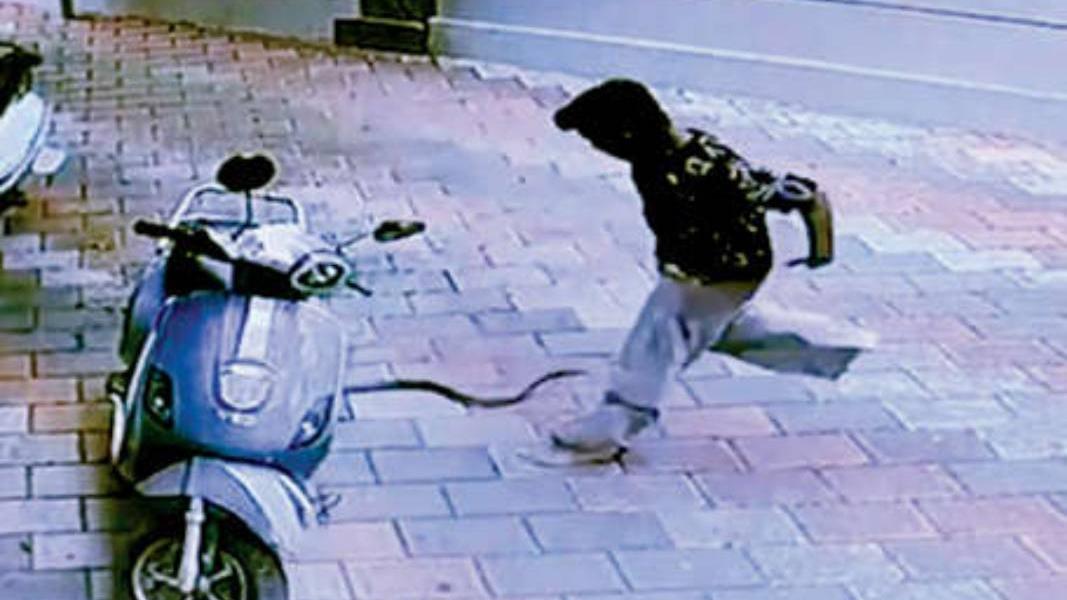 വീട്ടുമുറ്റത്തുവെച്ച്‌ പാമ്പുകടിച്ചത് പാന്റ്‌സിൽ; പതിനൊന്നുകാര ...