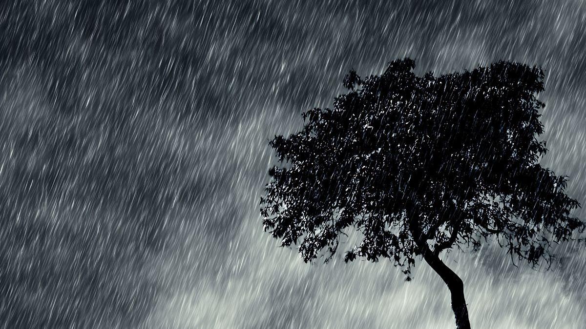 Kerala rain update: IMD issues yellow alerts in multiple districts as ...