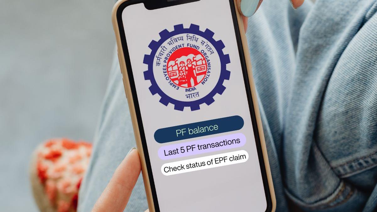 EPFO to offer PF services on WhatsApp: Check balance, track claims, fix ...