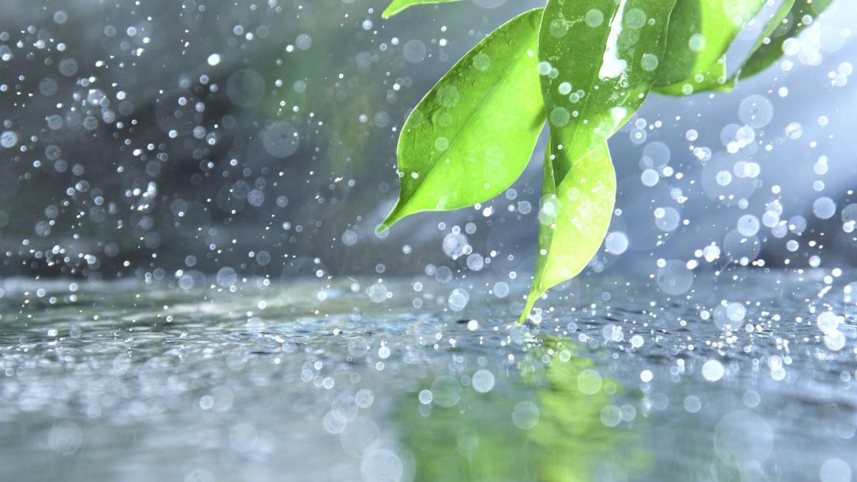 Kerala weather update: Heavy rain forecast with orange and yellow ...