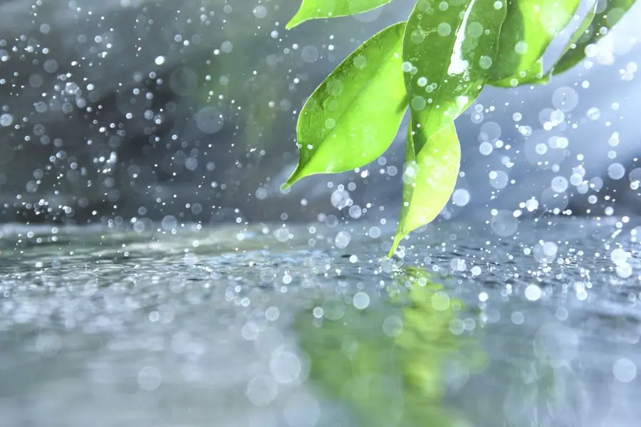 Kerala weather update: Heavy rain forecast with orange and yellow ...