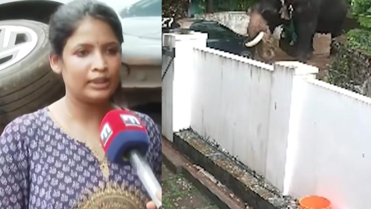 Thrissur Elephant Attack: Woman Escapes Miraculously After Car Lifted ...
