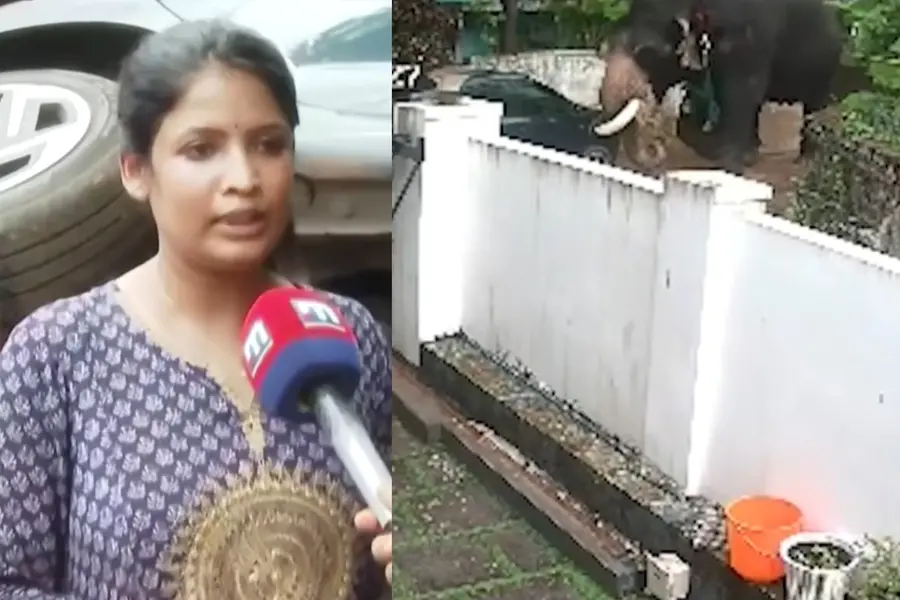 Thrissur Elephant Attack: Woman Escapes Miraculously After Car Lifted ...
