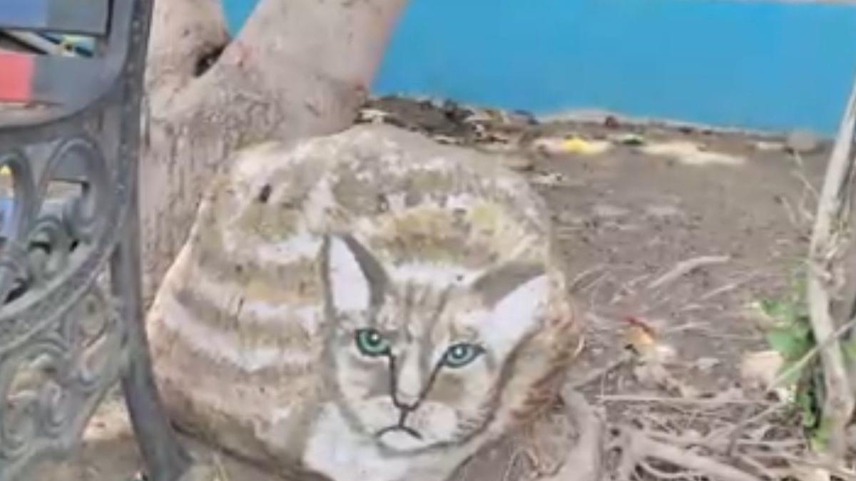 Indore beautifies public gardens with eye-catching art made from waste ...