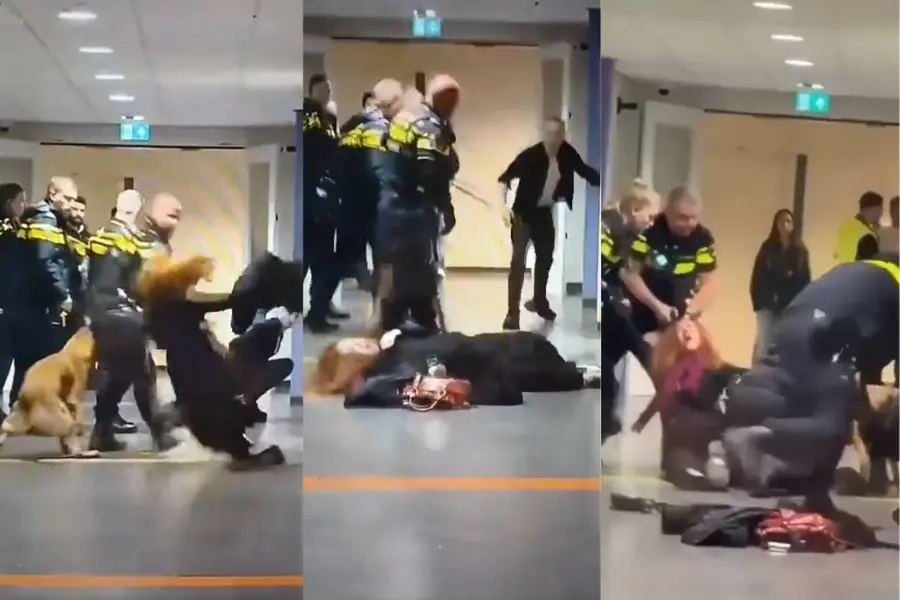 Heavily pregnant woman thrown to ground by Dutch Police; video sparks ...