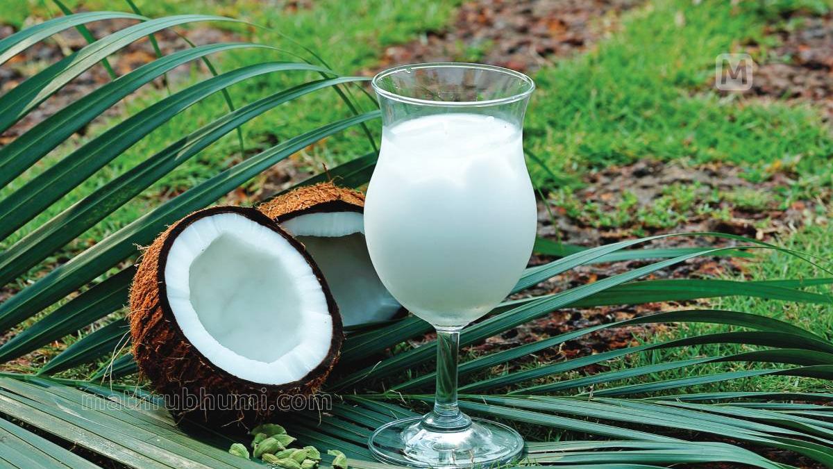 തേങ്ങ കേടാകാതെ ദീർഘകാലം സൂക്ഷിക്കാൻ ഇതാ ചില എളുപ്പവഴികൾ | How to Keep ...