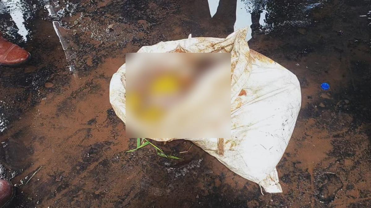 Human Skull Found in Sack at Pamba River, Chengannur Investigation ...