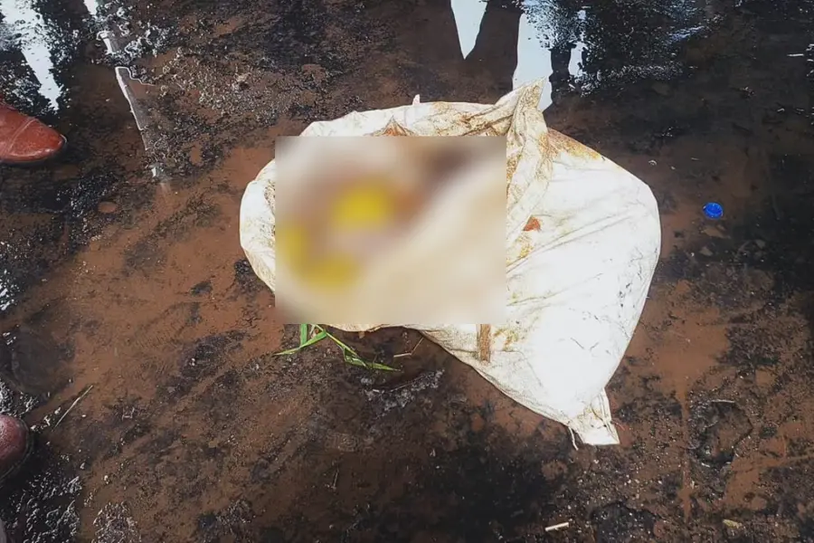 Human Skull Found in Sack at Pamba River, Chengannur Investigation ...