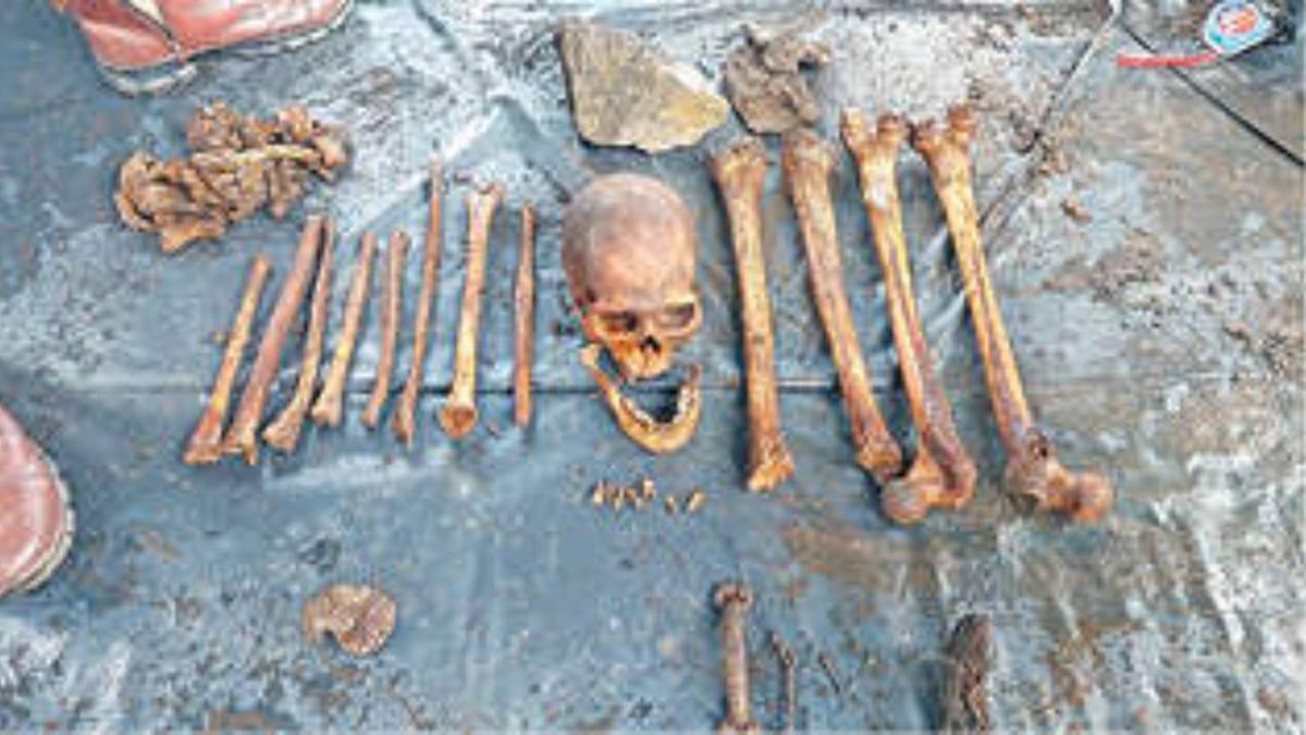Human skull and bones found in a sack in Pamba River by local fishermen ...