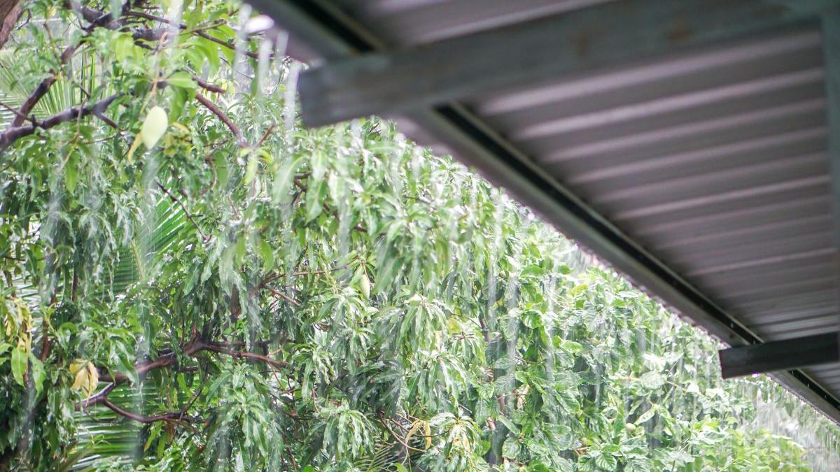 Southwest Monsoon all set to hit Kerala tomorrow; IMD issues orange and ...