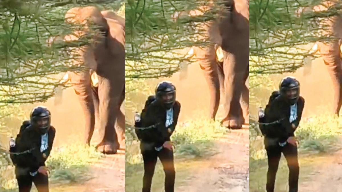Viral Video: Biker Narrowly Escapes Wild Elephant Attack in Chinnar ...