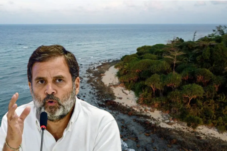 'Forests being cleared for Adani's hotels & casinos': Rahul Gandhi on ...