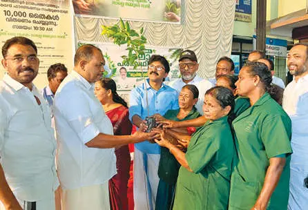Ashamannoor Panchayat and K-Board Foundation distribute 10,000 saplings ...