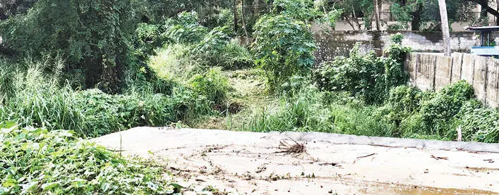 Alathur bypass construction delay threatens paddy fields with flooding ...