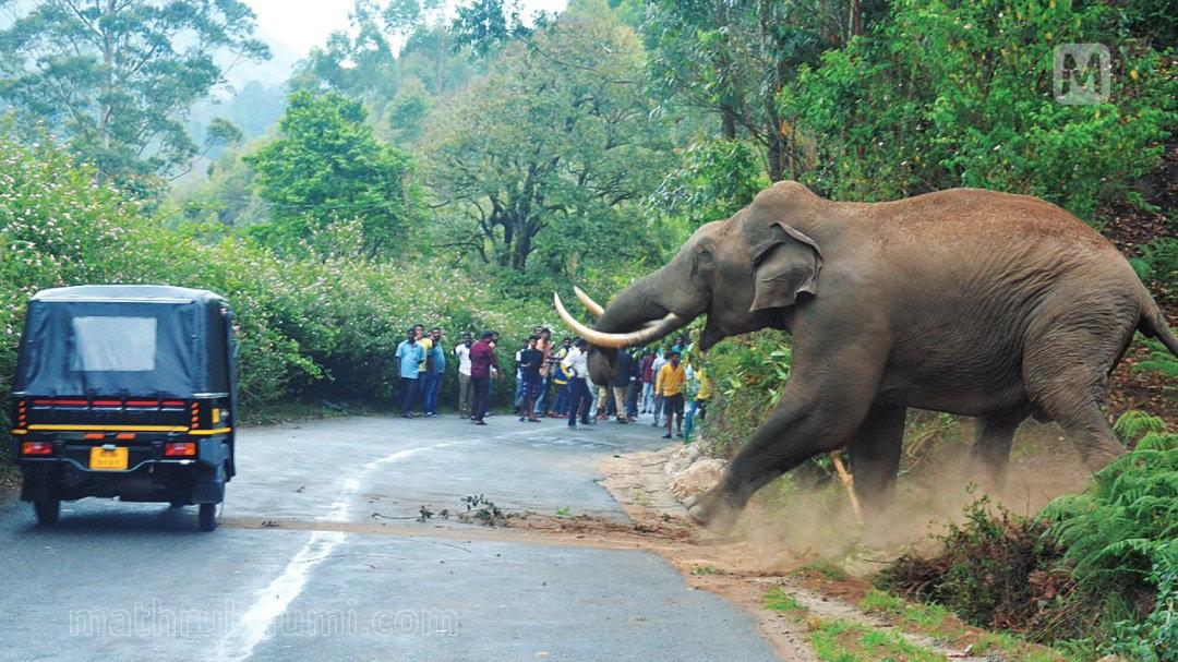 Human-wildlife conflict remains a critical challenge in 2026 due to ...