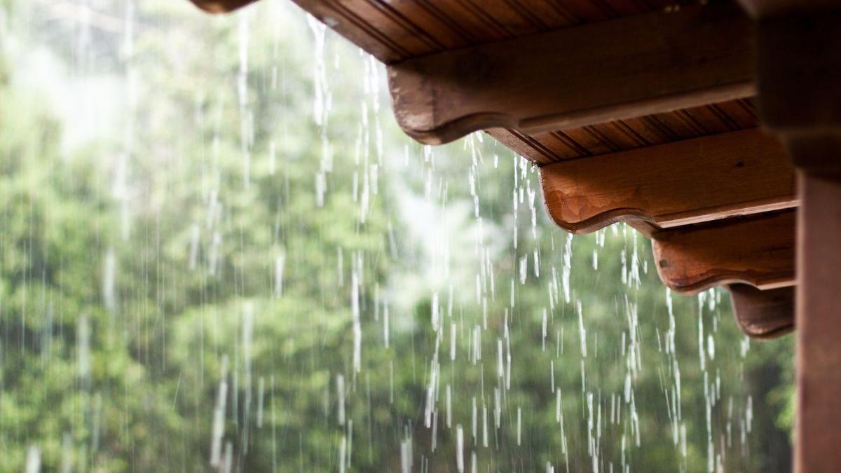 Kerala rain update: Yellow alert issued for Kottayam and Ernakulam ...