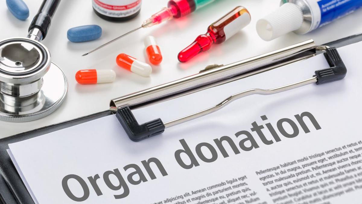 Kerala organ racket case: ED raids major private hospitals in probe ...
