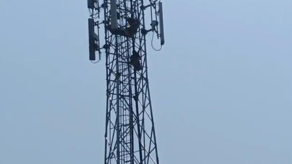 17-year-old girl scales mobile tower, threatens to jump unless ...